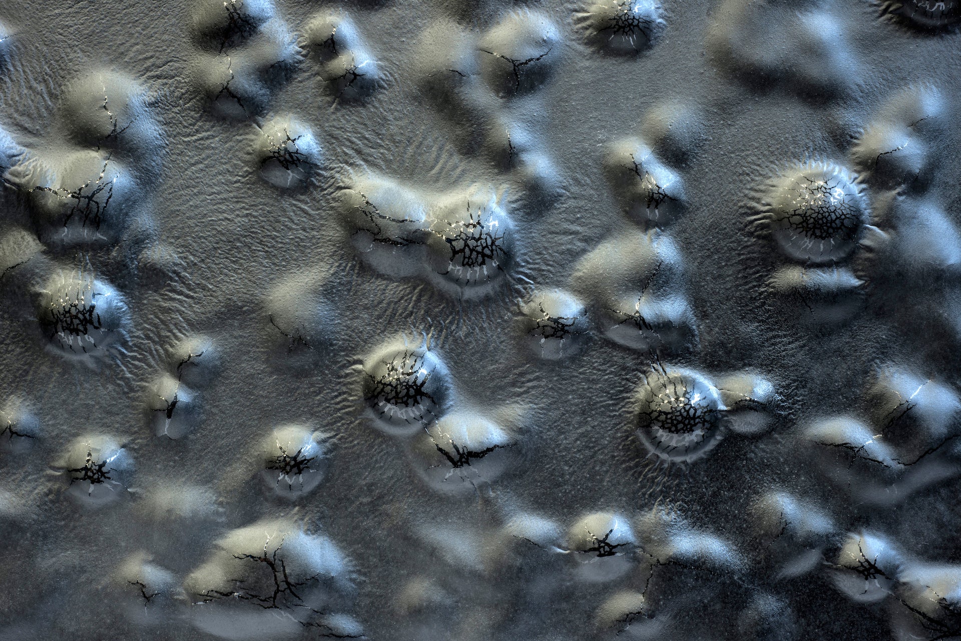 CuprumO: 3D Statement Black Wall Panel | Luxury Glass Panel – PlusObject